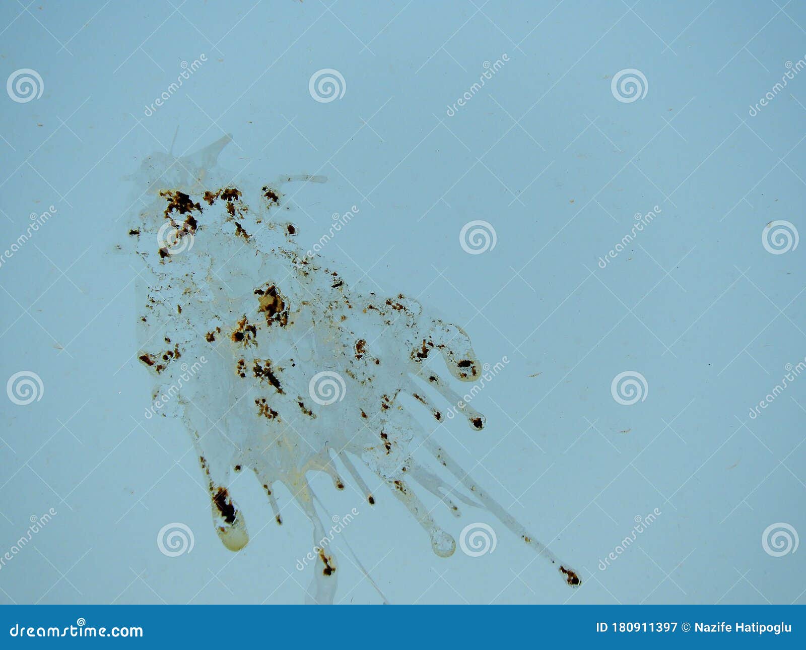 Bird Poop On Balcony Glass, Bird Poop On Glass, Dirty Balcony Glass ...