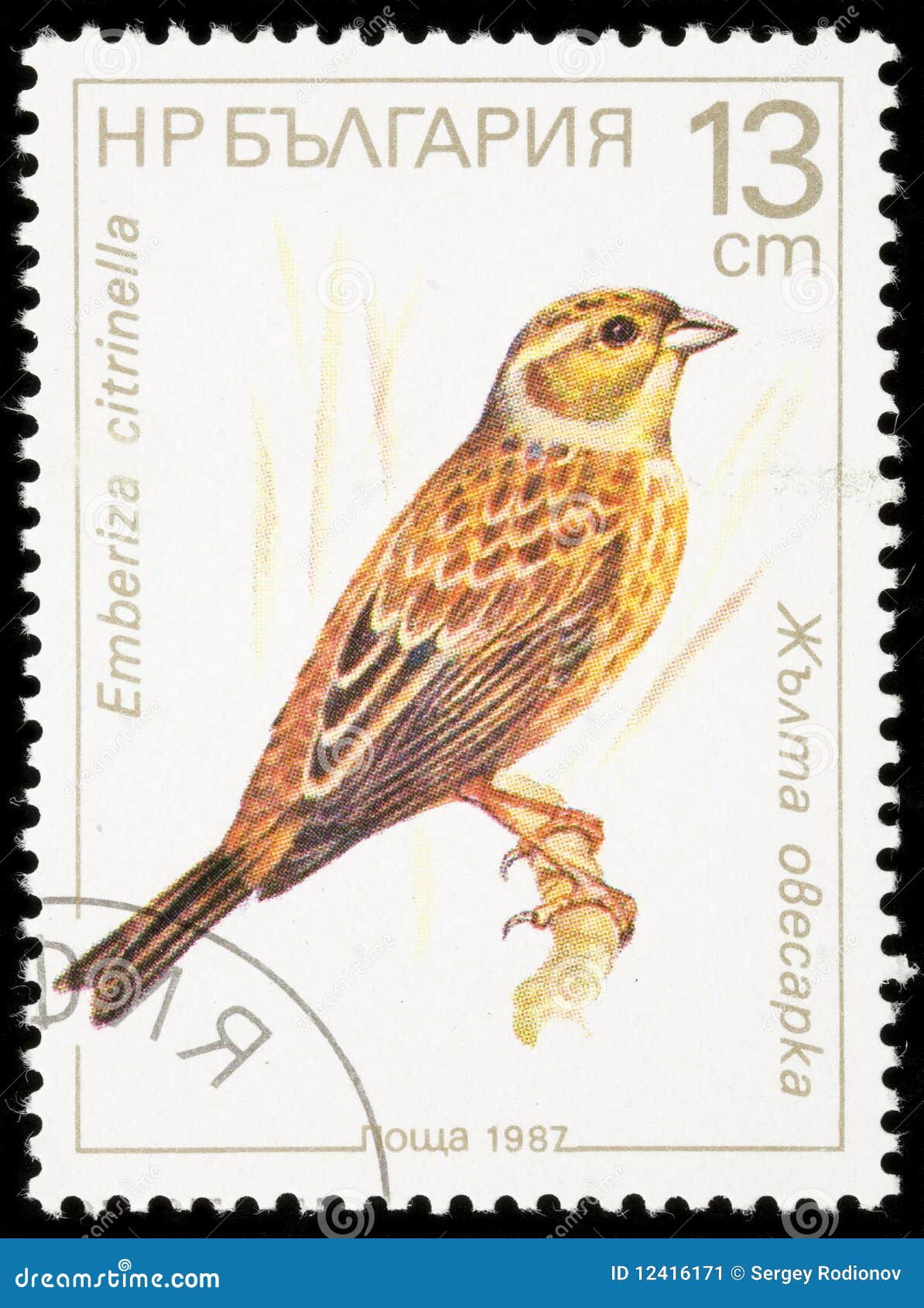 Bird on a postage stamp editorial photo. Image of bulgaria - 12416171
