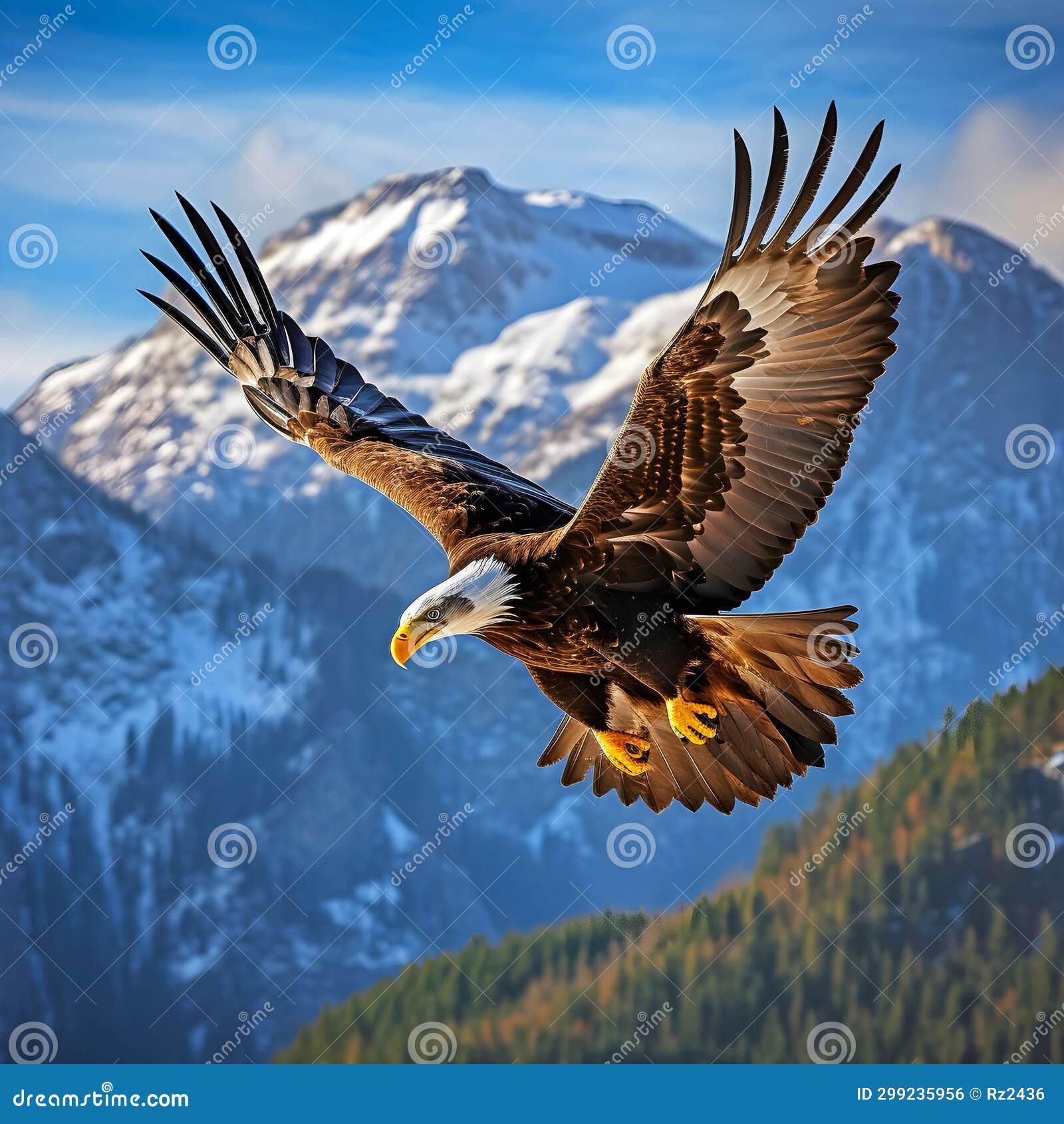 Eagle Flying Over Mountains. Stock Illustration - Illustration of pray ...