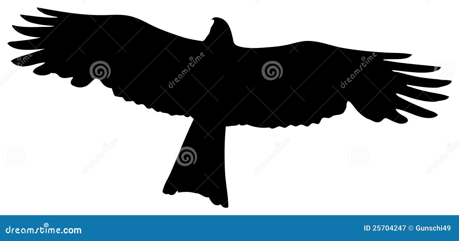 Bird of prey stock vector. Illustration of prey, majestic - 25704247