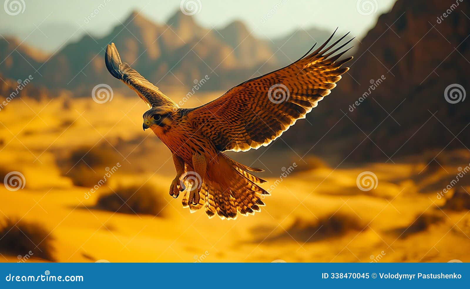 A Bird of Prey Flying Over a Desert Landscape with Mountains in the ...