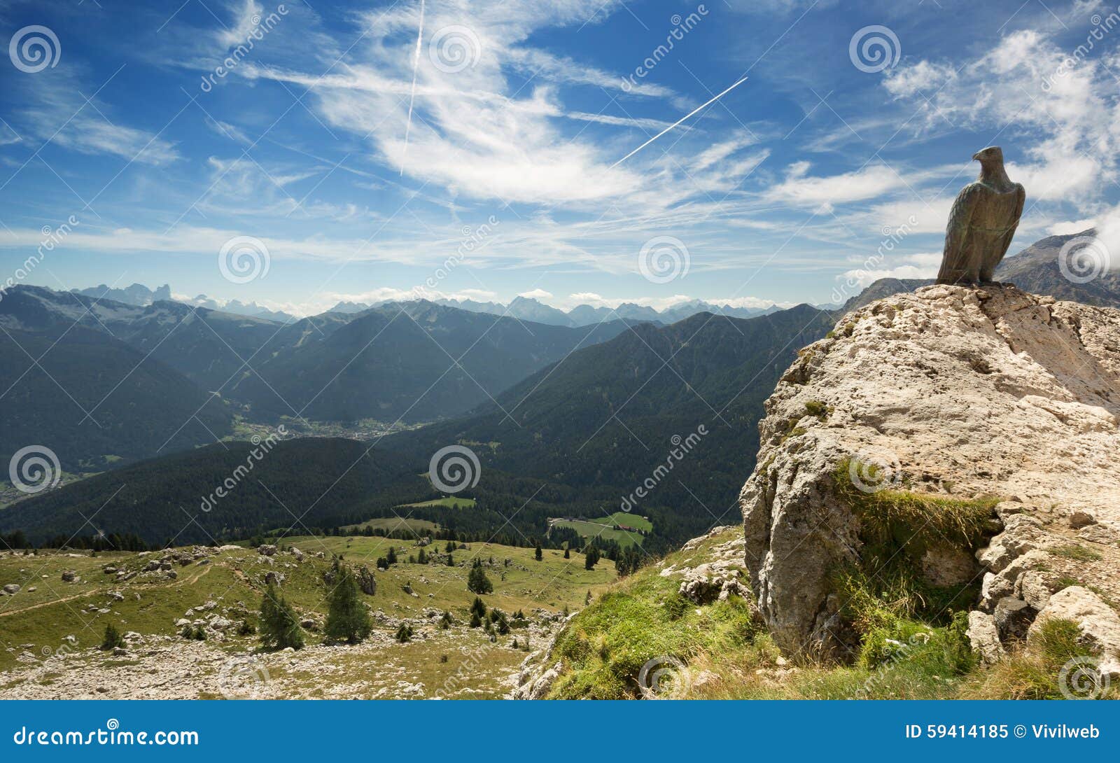 Bird of Prey Overlooking the Valley Stock Image - Image of panorama ...