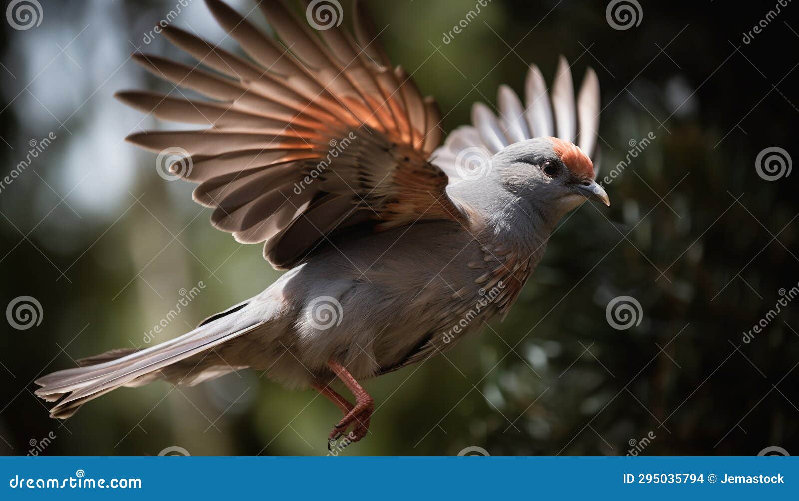 Bird of Prey Perching on Branch, Spreading Wings, Watching Generated by ...