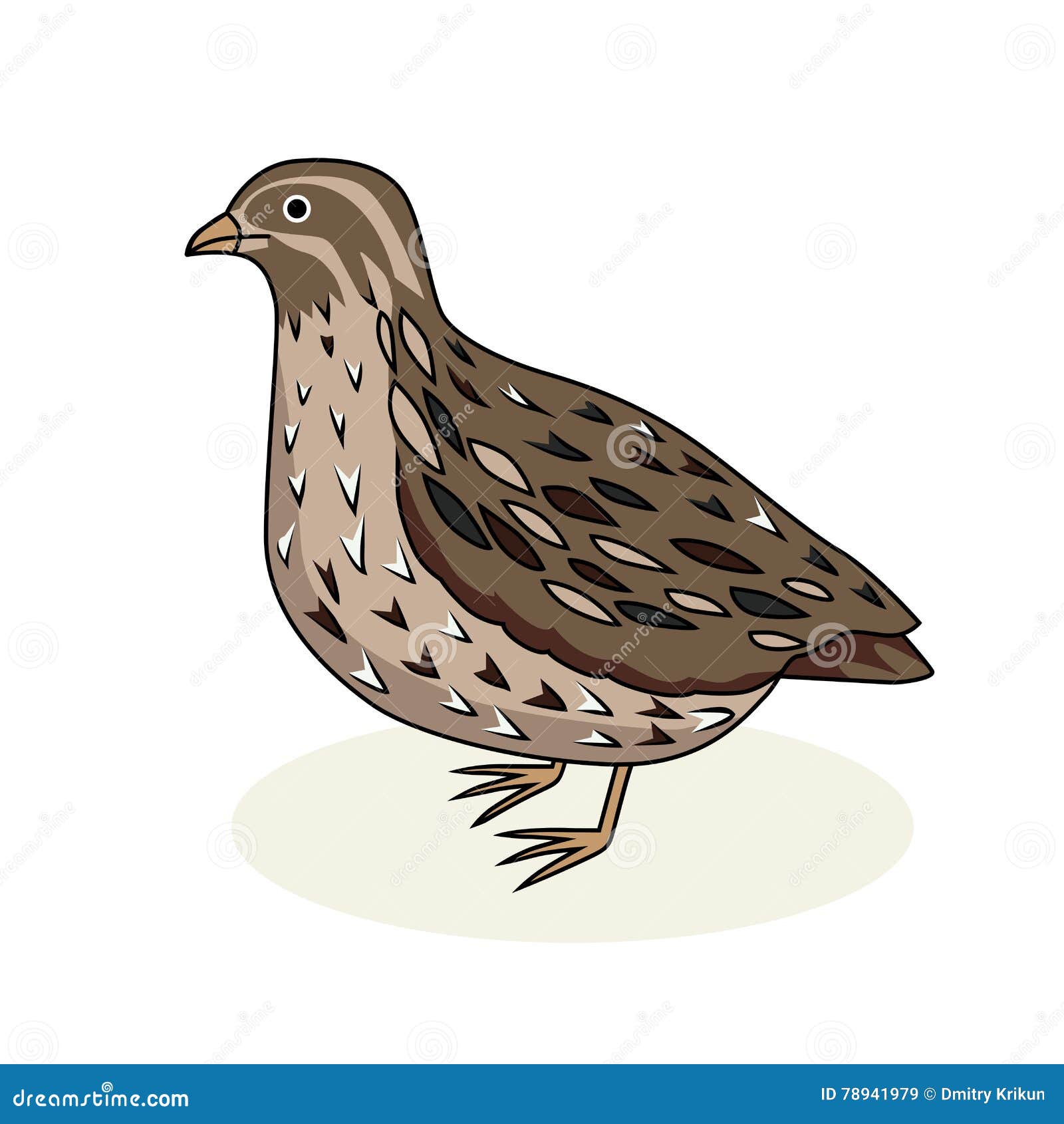 Bird Quail. Grey Bird. Cartoon Style. Stock Vector - Illustration of ...