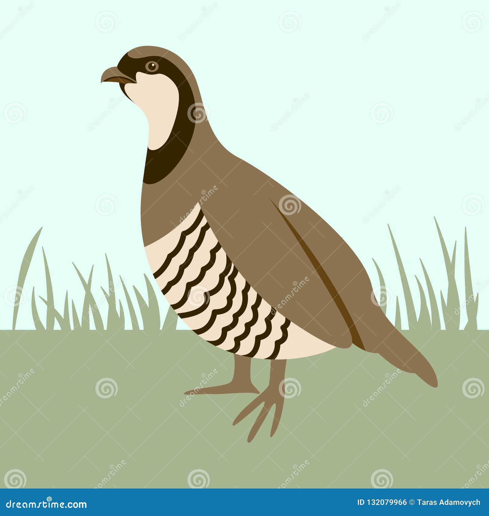 Bird Quail, Vector Illustration ,flat Style, Profile Stock Vector ...