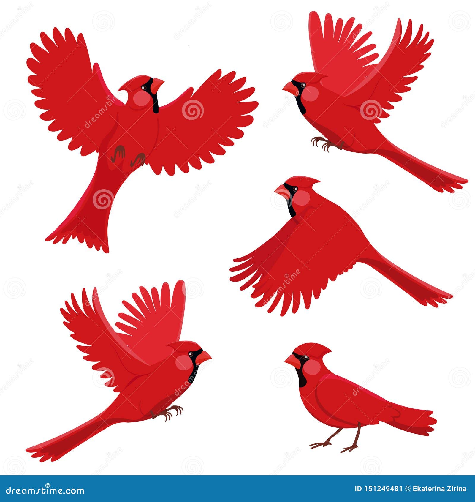 Bird Positions Stock Illustrations – 527 Bird Positions Stock ...