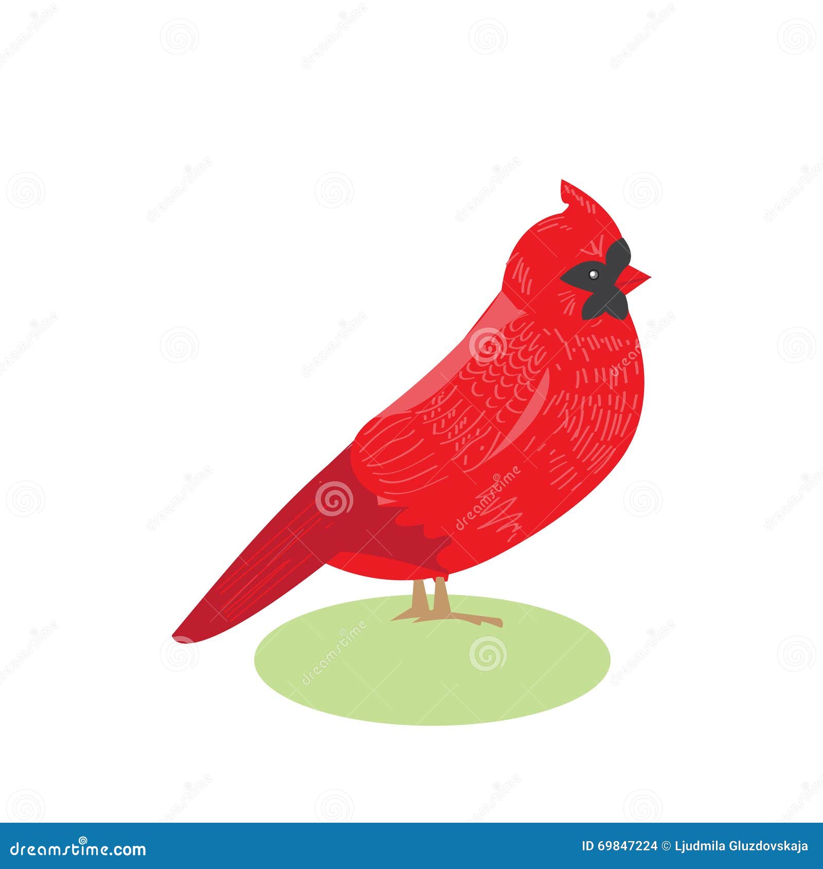 Bird Red Cardinal Vector Illustration of a Beautiful Bird Red Stock ...