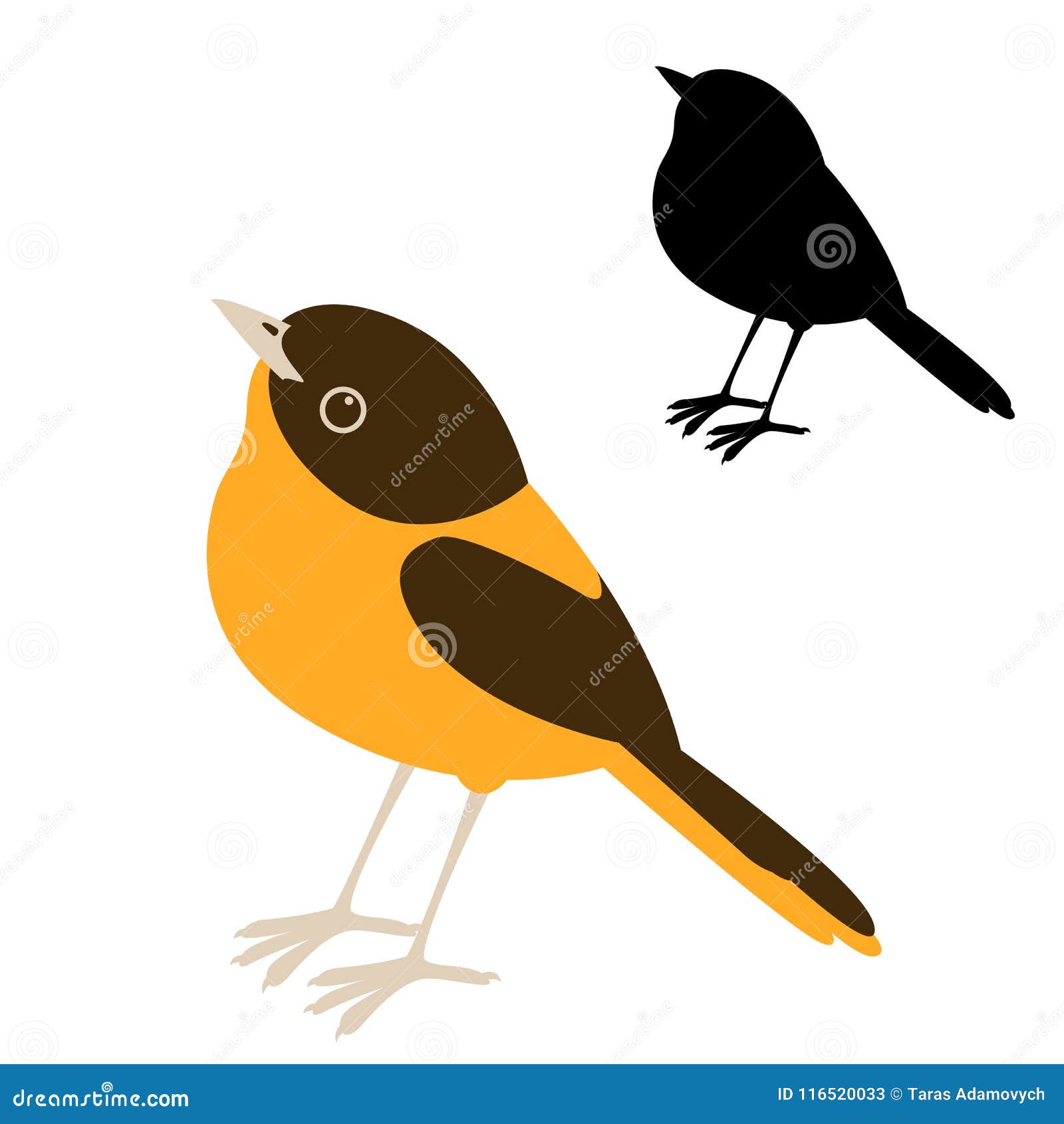 Robin Vector Icon On White Background. Flat Vector Robin Icon Symbol ...