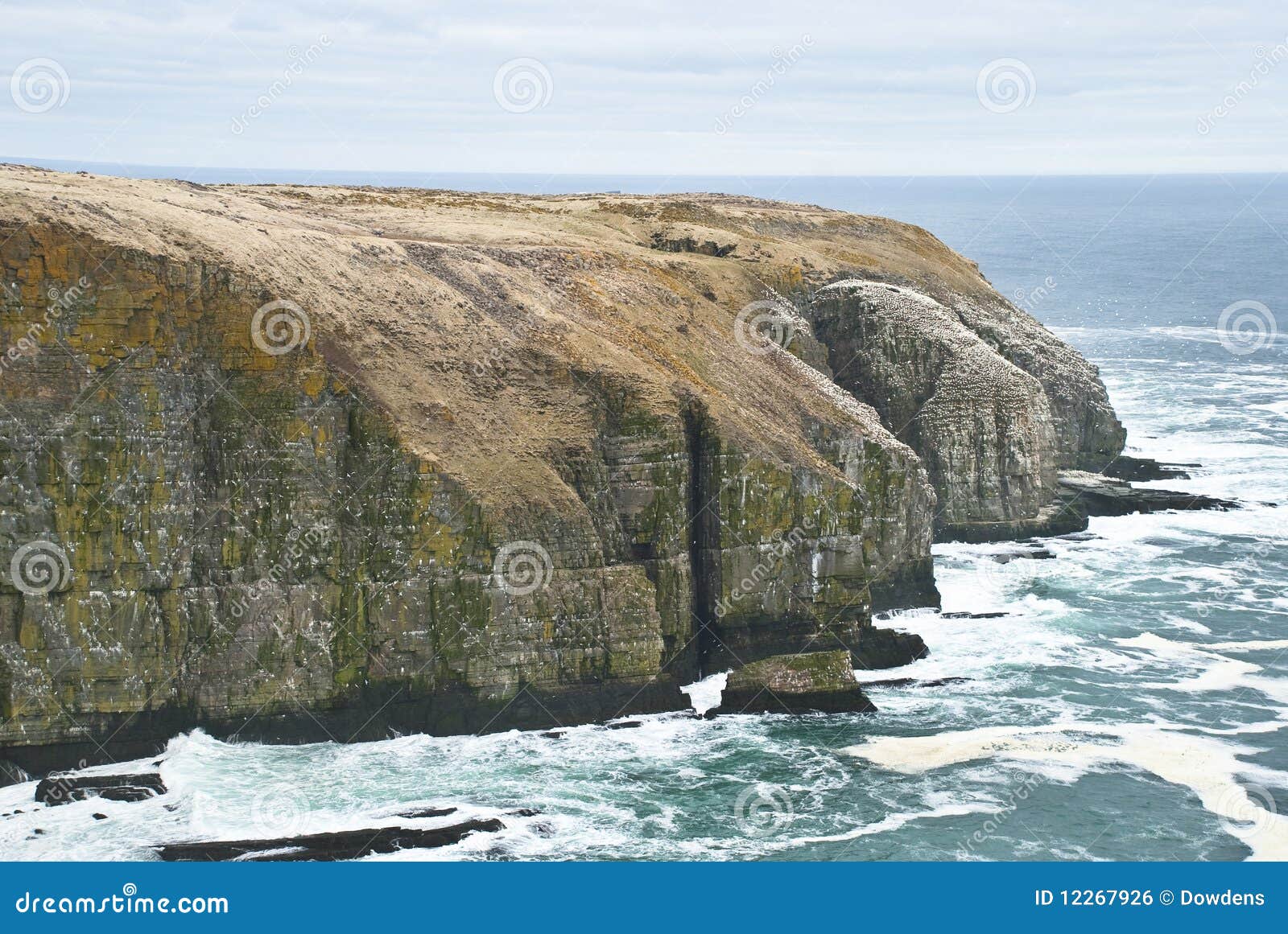 Bird Rock stock photo. Image of animal, landscape, colony - 12267926