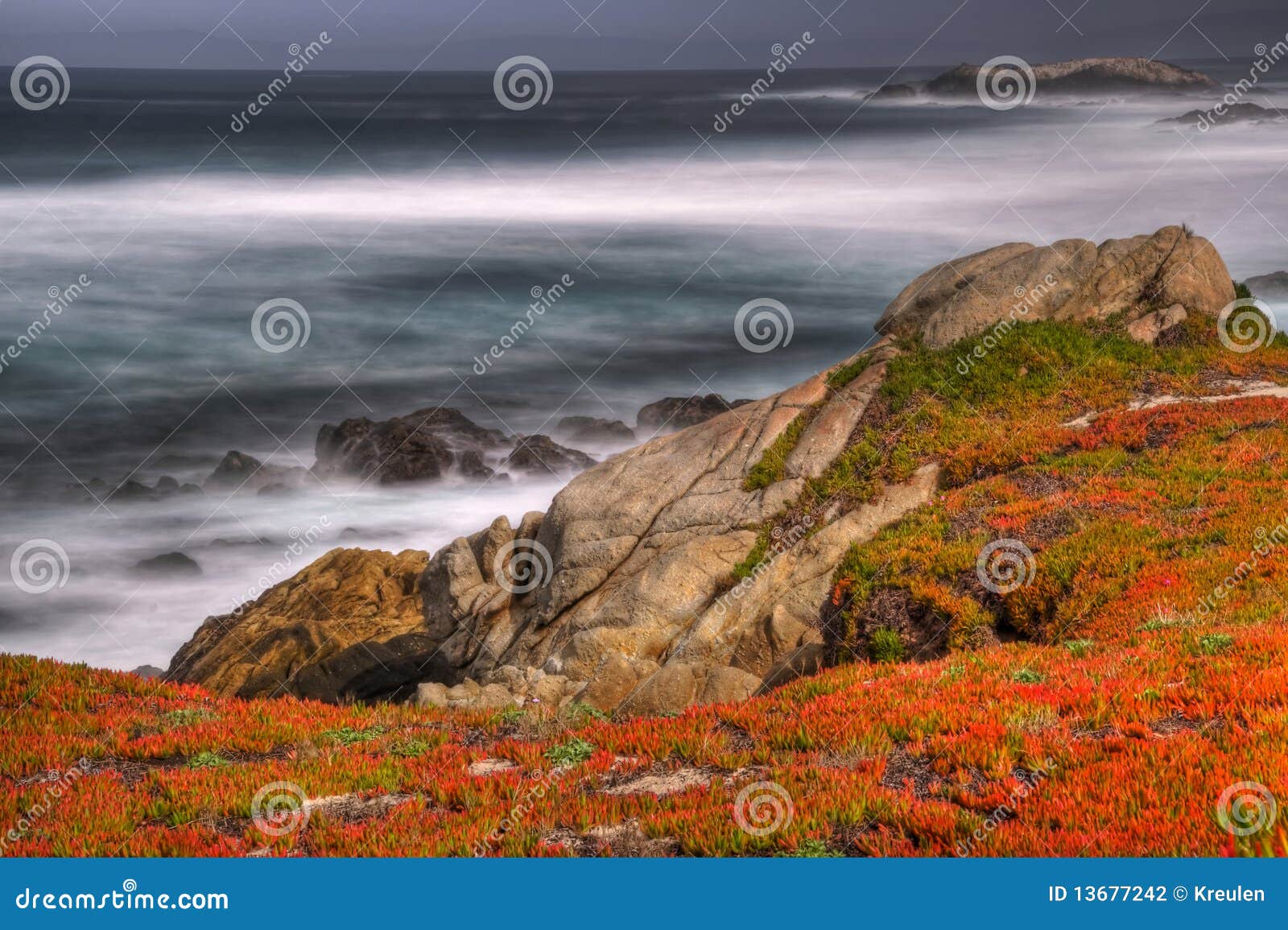 Bird Rock stock photo. Image of california, nature, smooth - 13677242