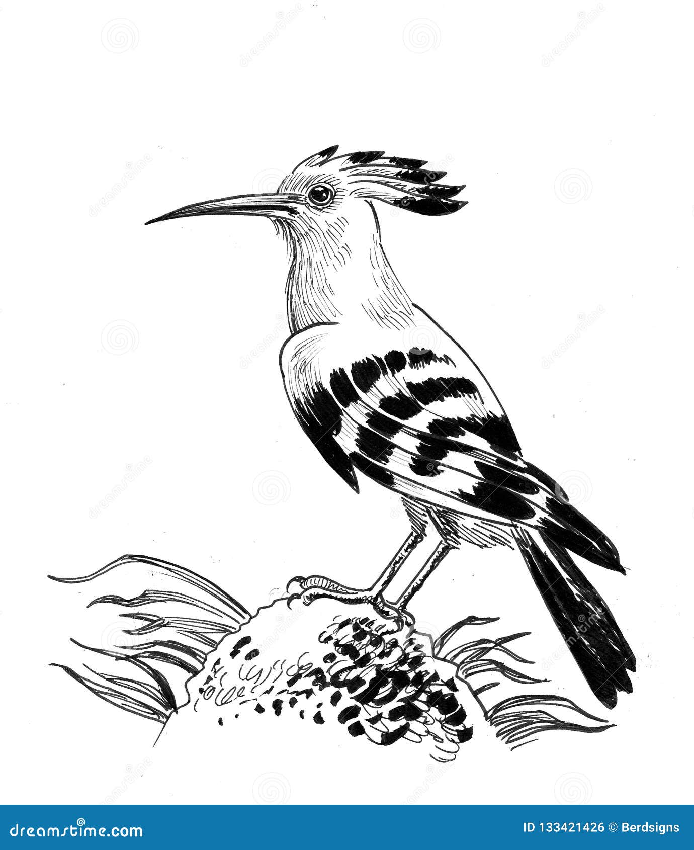 Bird on a rock stock illustration. Illustration of artwork - 133421426