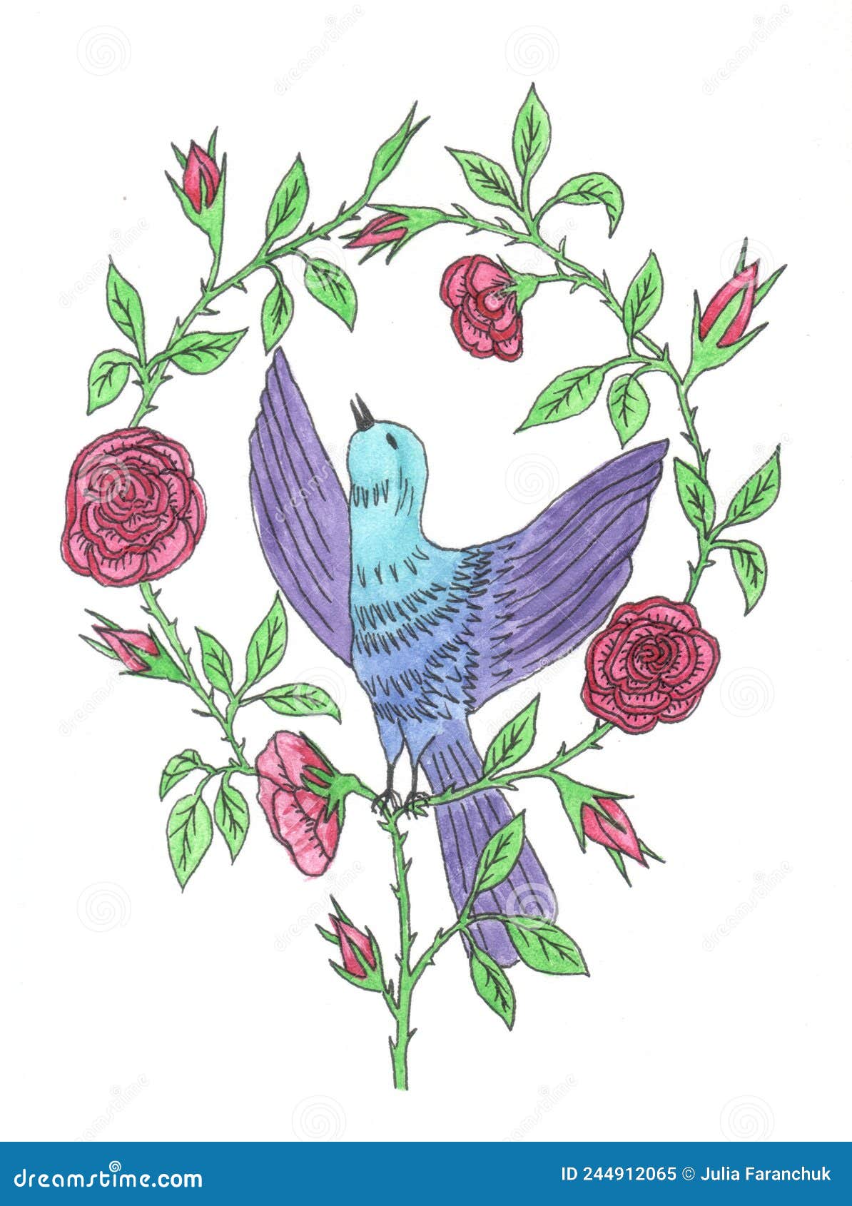 Bird with roses stock image. Image of flower, botanical - 244912065