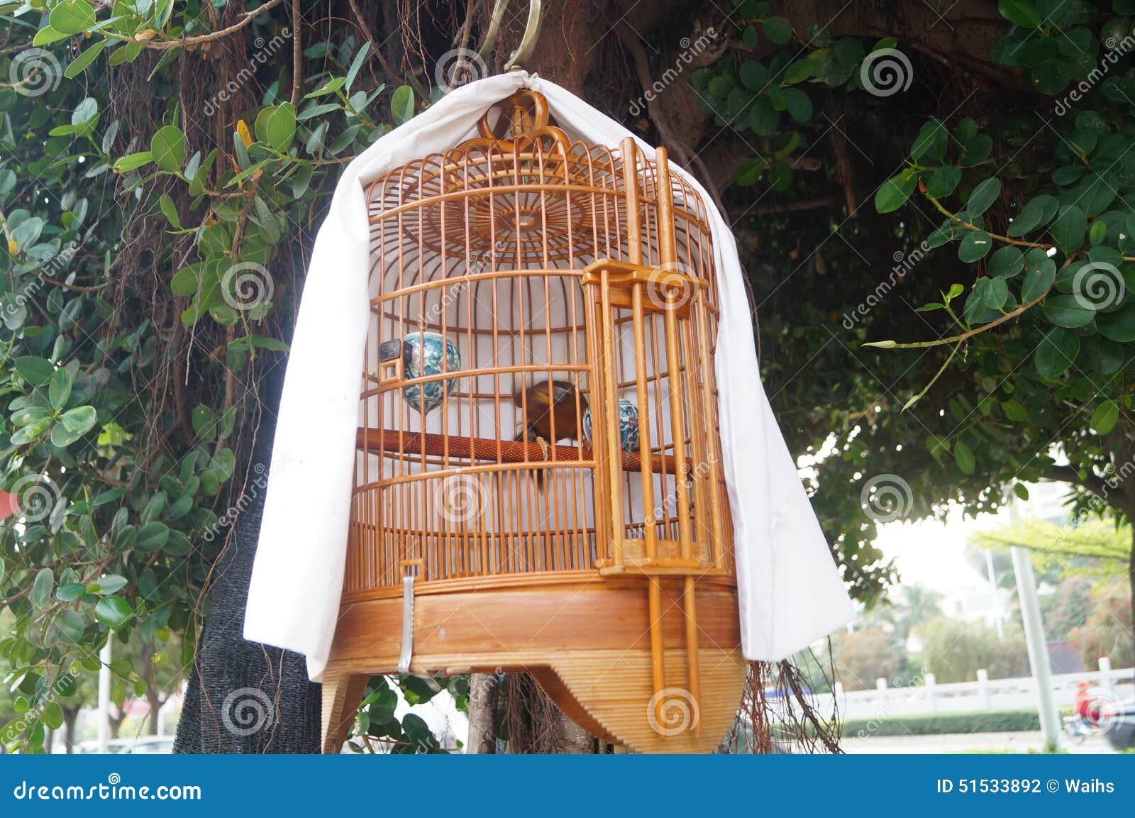The bird s cage stock photo. Image of tree, building - 51533892