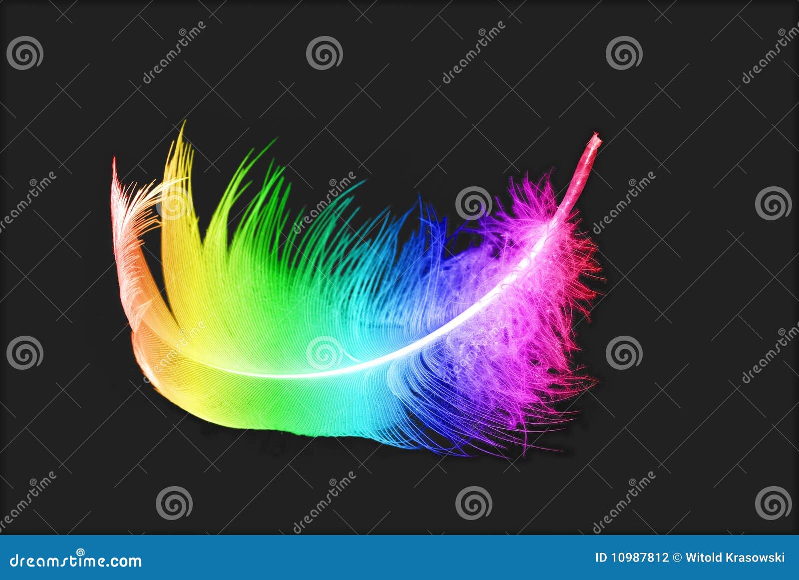 Colorful Feather Group Of Some Bird Stock Image | CartoonDealer.com ...