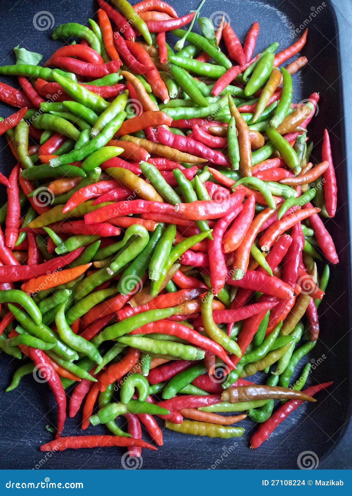 Bird s eye chili stock photo. Image of natural, farming - 27108224
