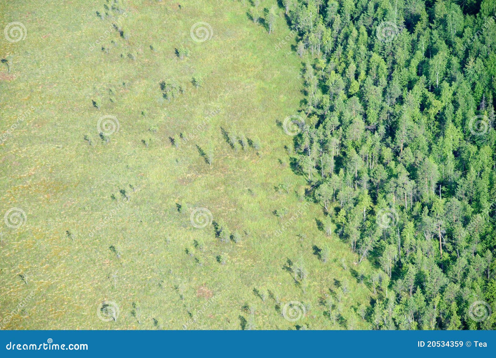 Bird s-eye view stock image. Image of meadow, spring - 20534359