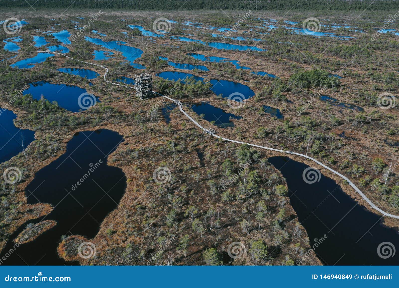Bird`s-eye view stock image. Image of grass, ecology - 146940849