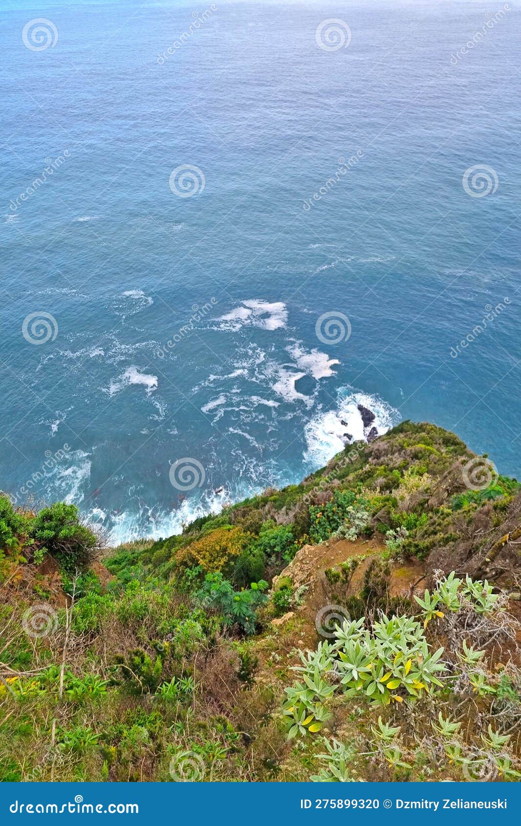 A Bird S-eye View of the Coast in the Ocean or Sea. Stock Photo - Image ...