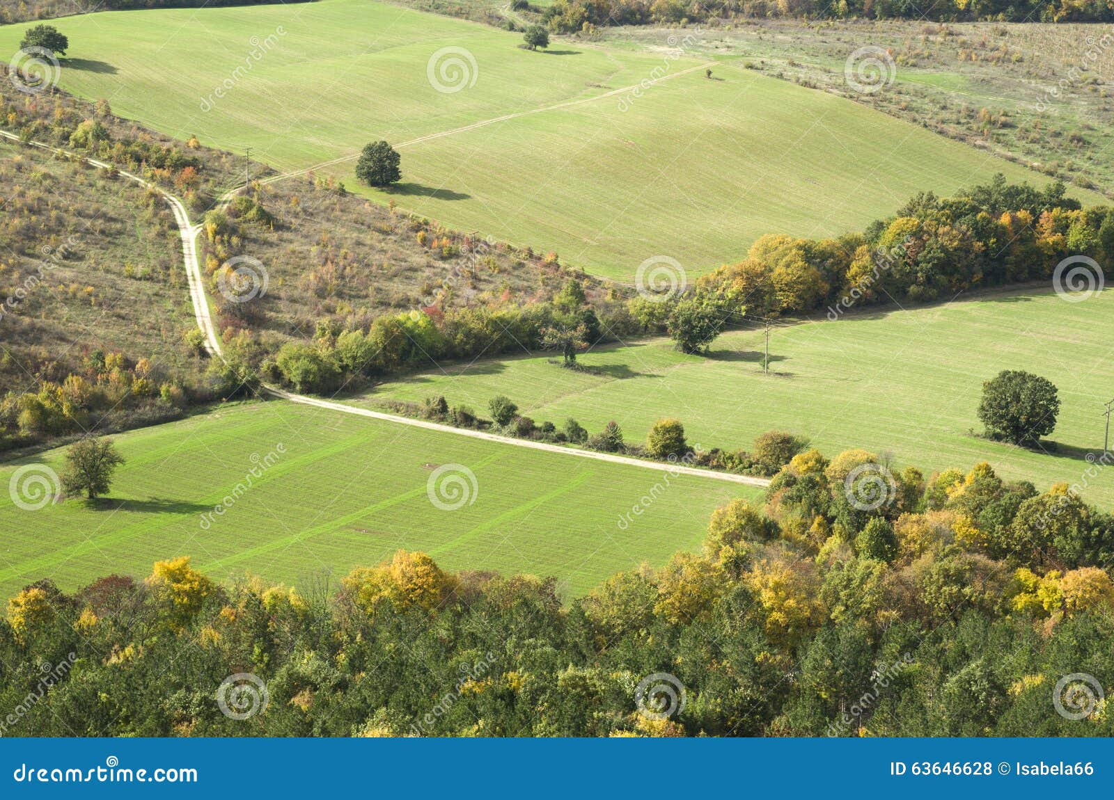 Bird S Eye View of Fields and Forest in Autumn Stock Photo - Image of ...