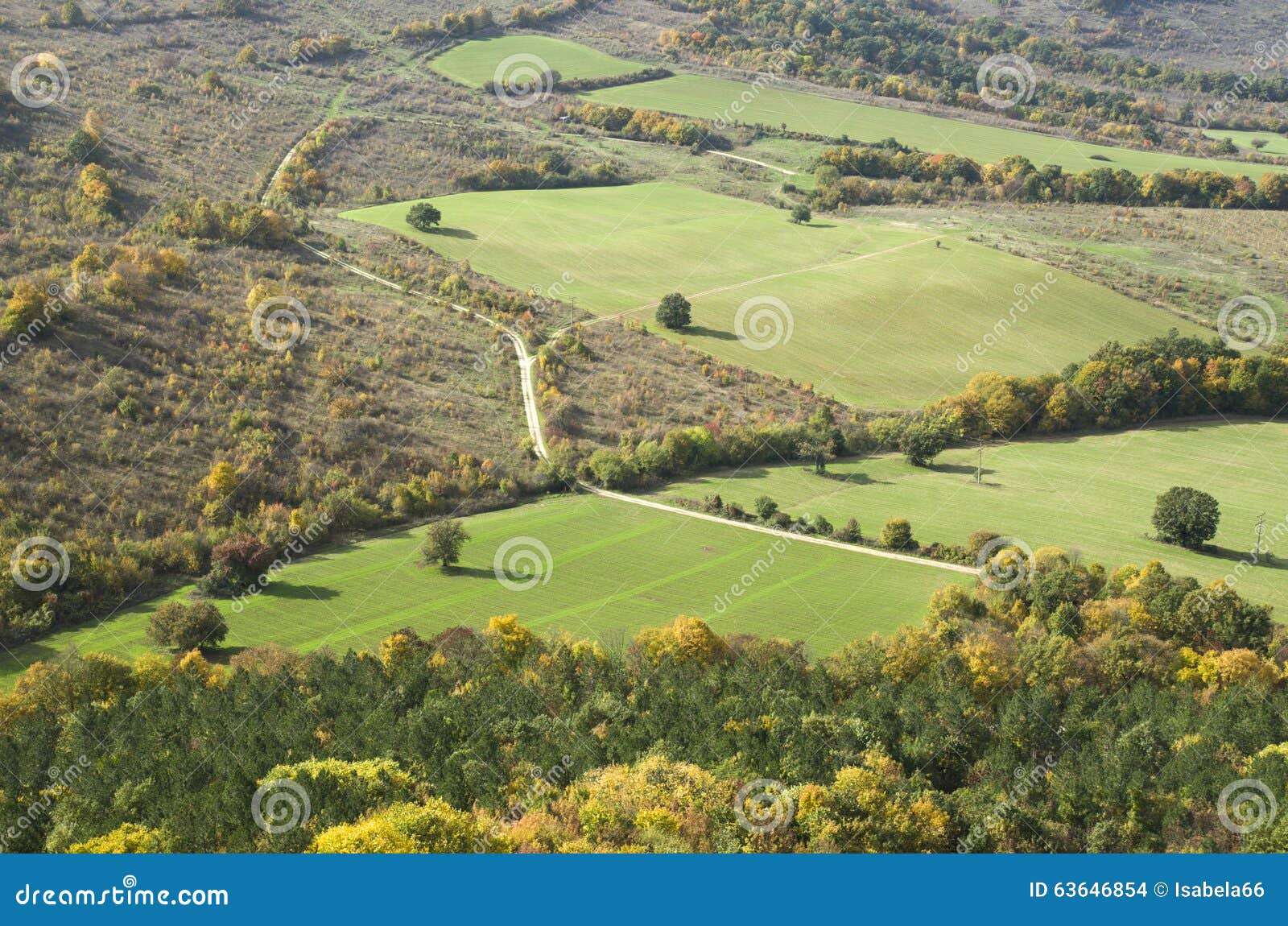 Bird S Eye View of Fields and Forest in Autumn Stock Photo - Image of ...