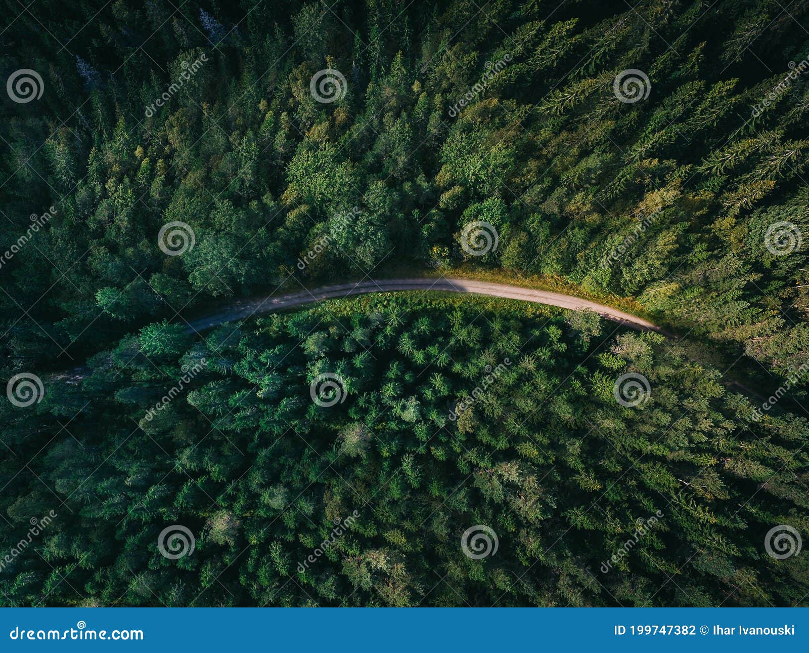 Bird`s-eye View of the Forest Road .Texture or Background Stock Photo ...