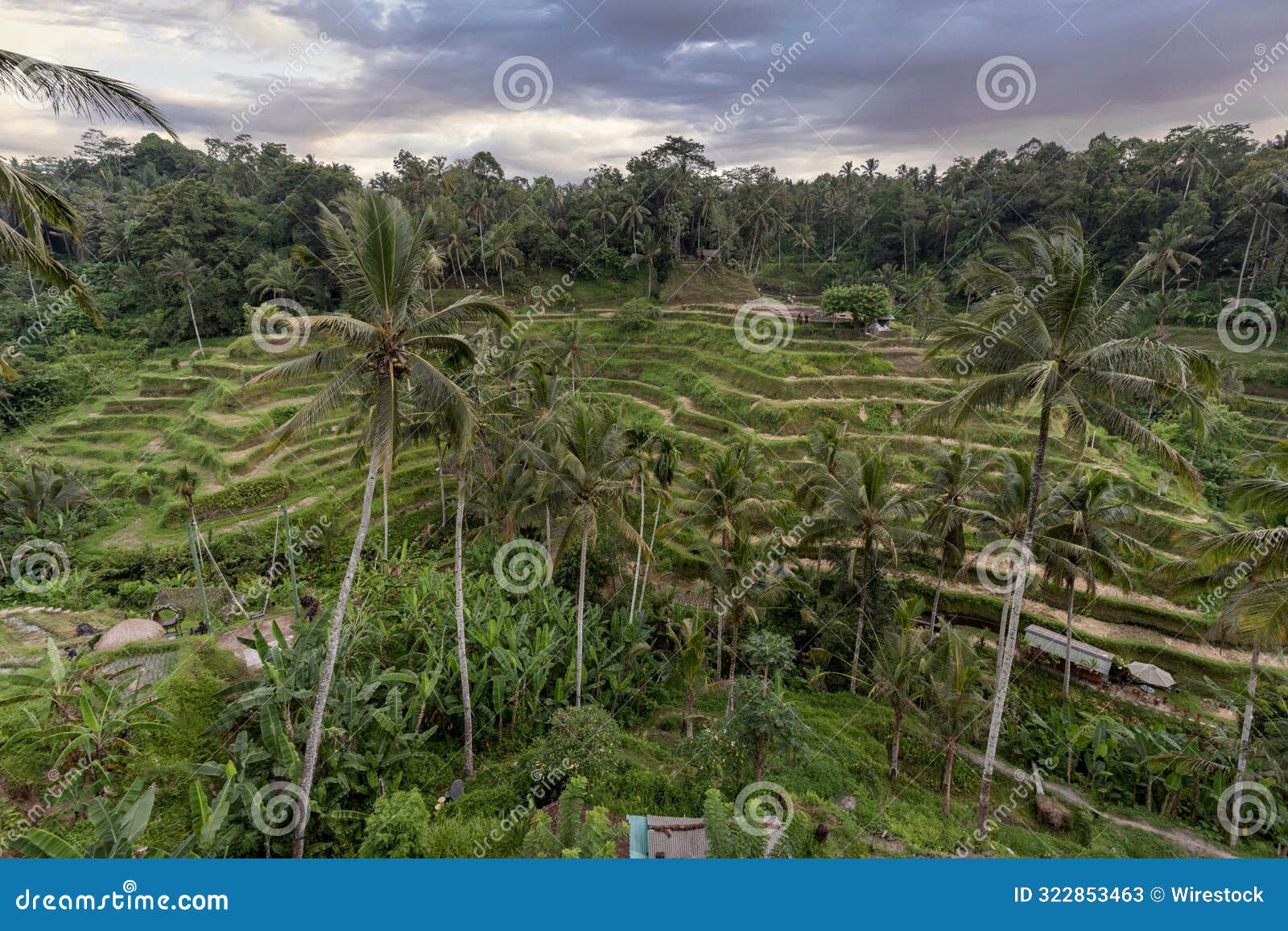 Bird S Eye View of Indonesian Jungle Stock Image - Image of scenic ...