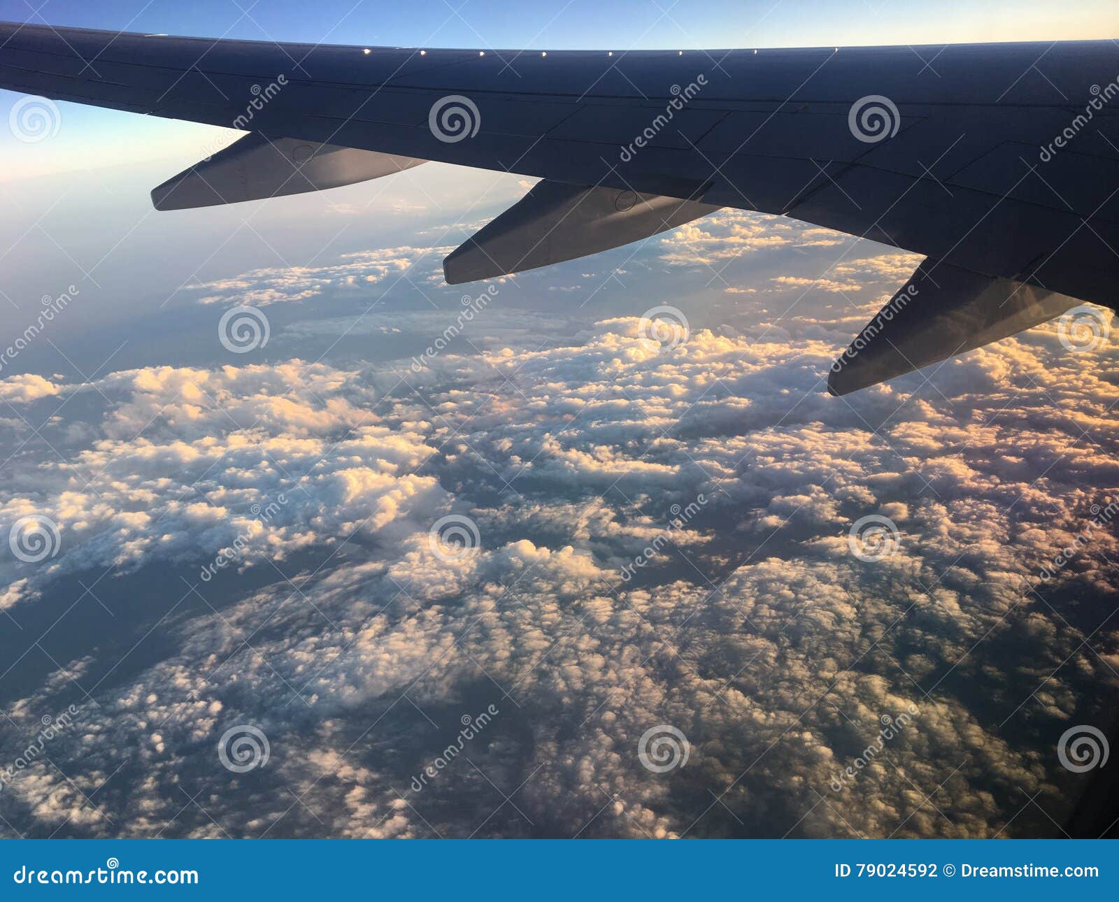 Bird s eye view stock photo. Image of bird, plane, clouds - 79024592