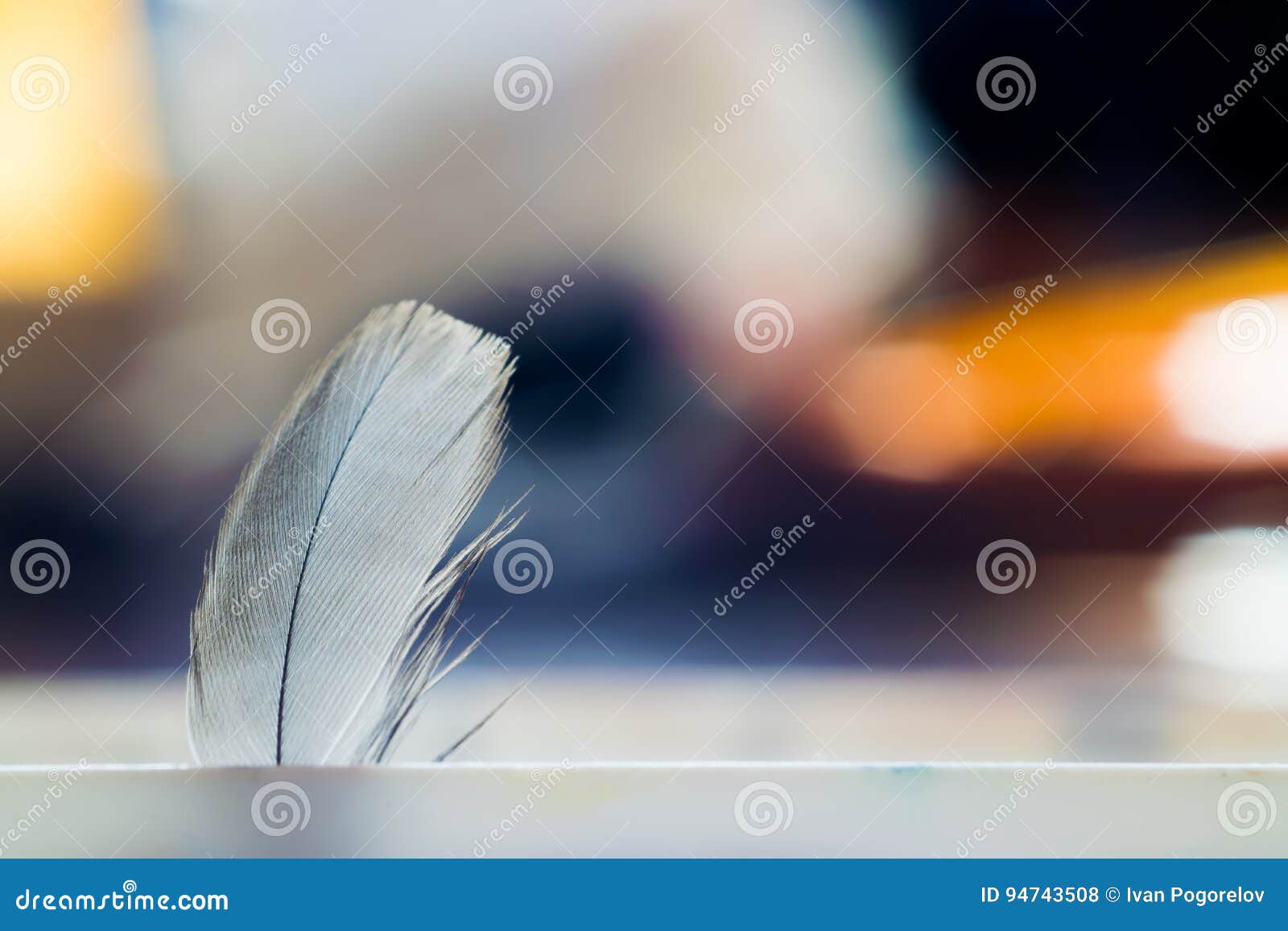 Bird`s Feather Swift on a Colored Background. Macro Stock Photo - Image ...