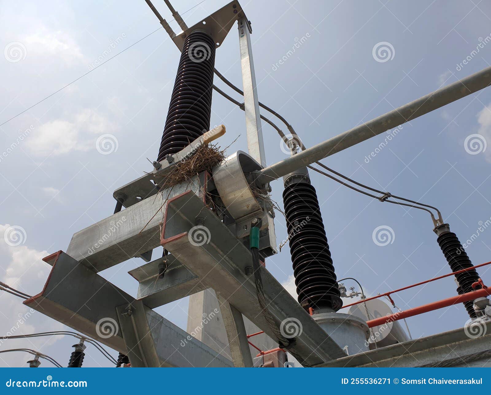 The Bird S Nest is on the Base of 115kV Earthing Switch Stock Image ...