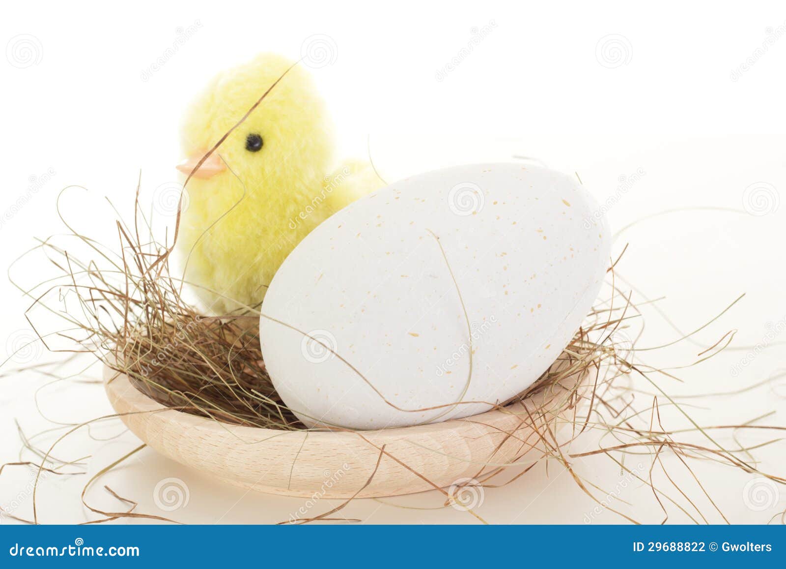 Bird s nest with chick stock photo. Image of eggs, spring - 29688822