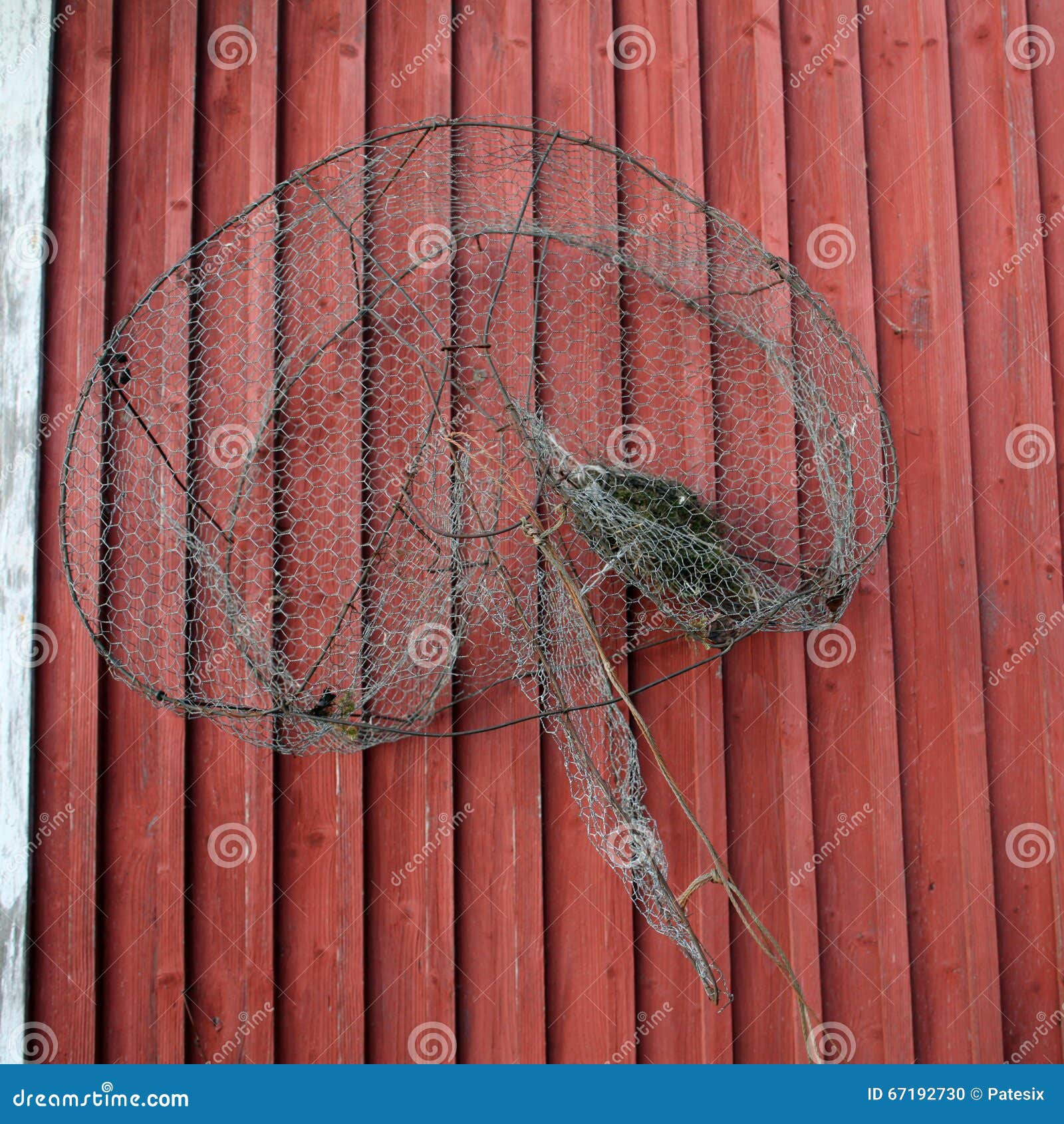 Bird s nest in fish trap stock photo. Image of wire, nests - 67192730