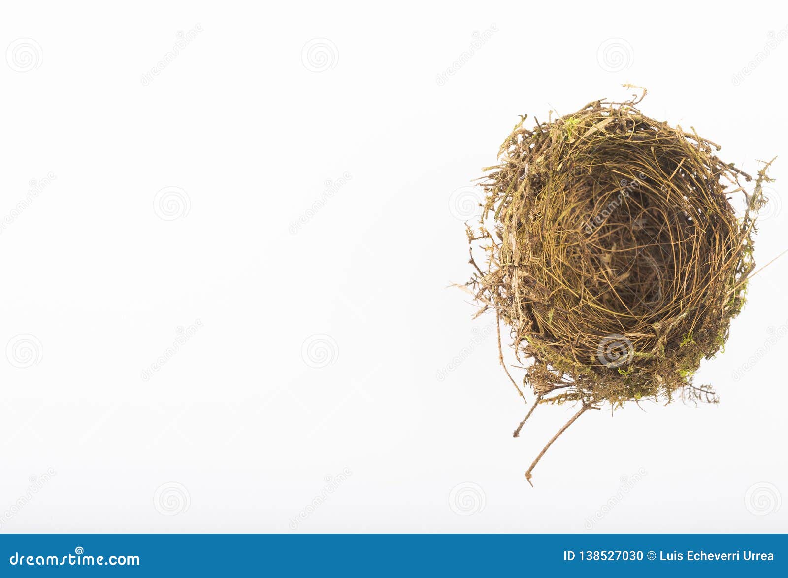 Bird`s Nest Isolated on White Background Stock Photo - Image of animal ...