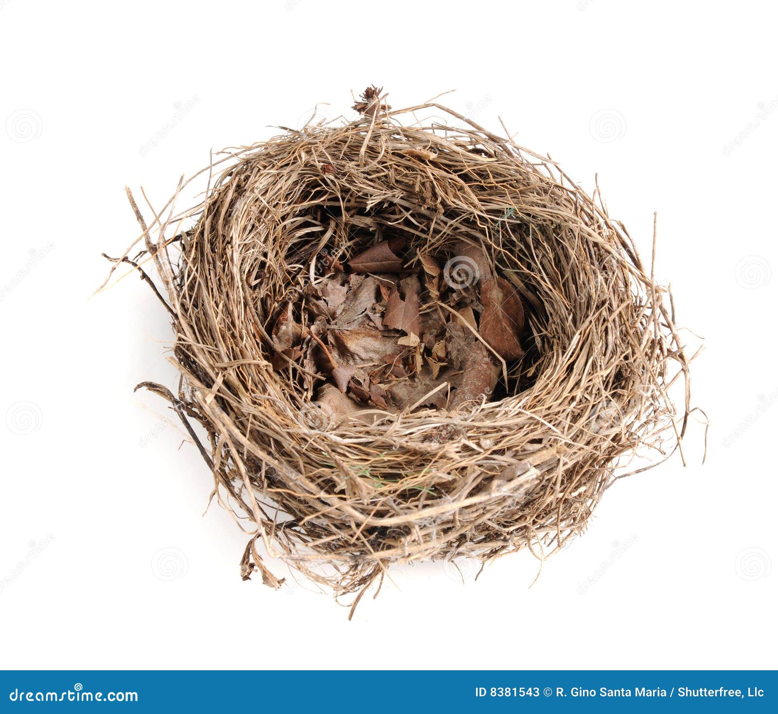 Bird S Nest Over a White Background Stock Image - Image of leaves ...