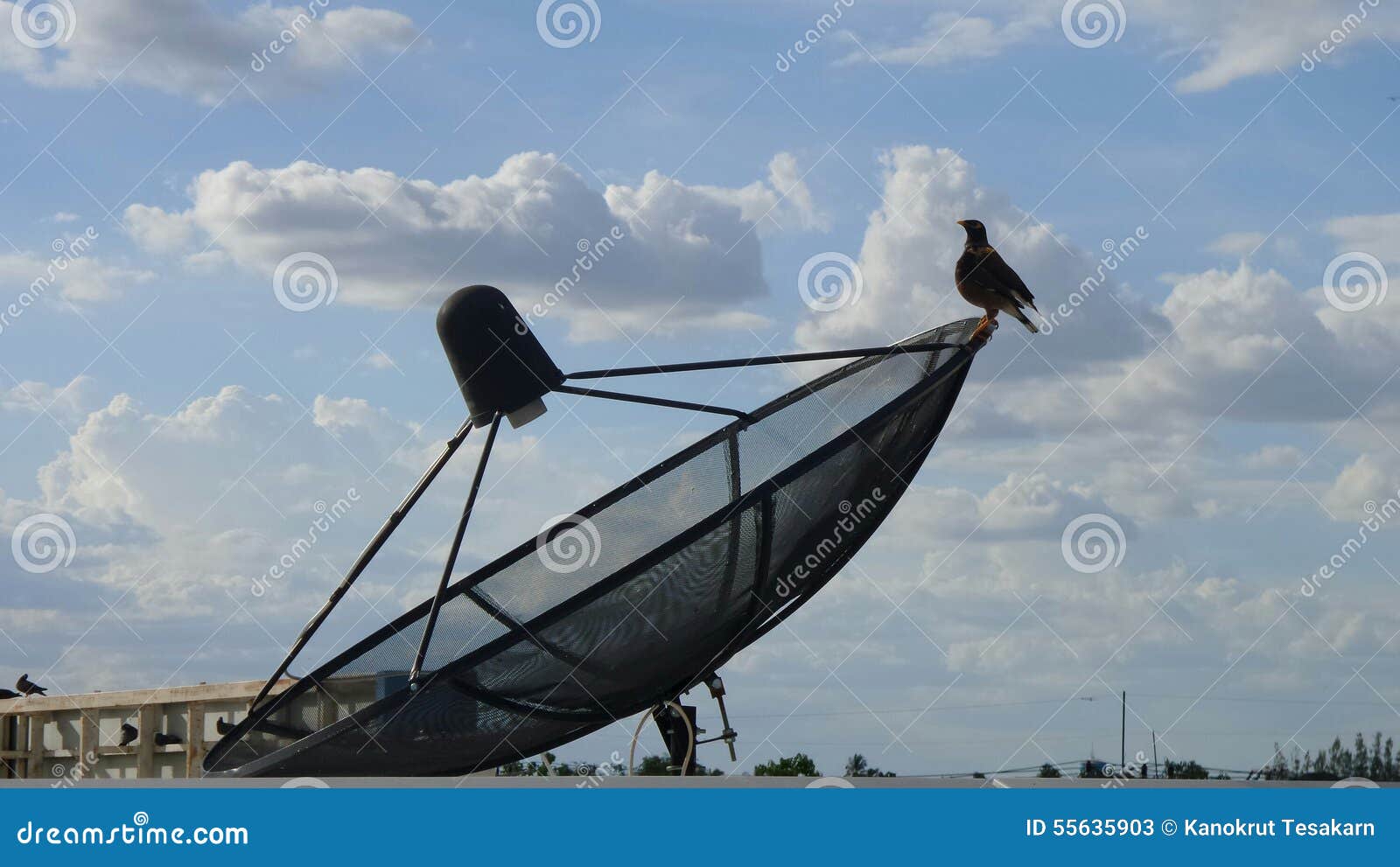 Bird on Satellite Dish Under Wide Blue Sky and White Cliuds Stock Image ...