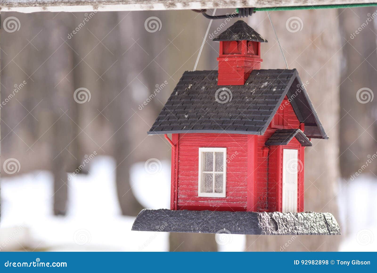Bird School stock photo. Image of nature, shelter, close - 92982898