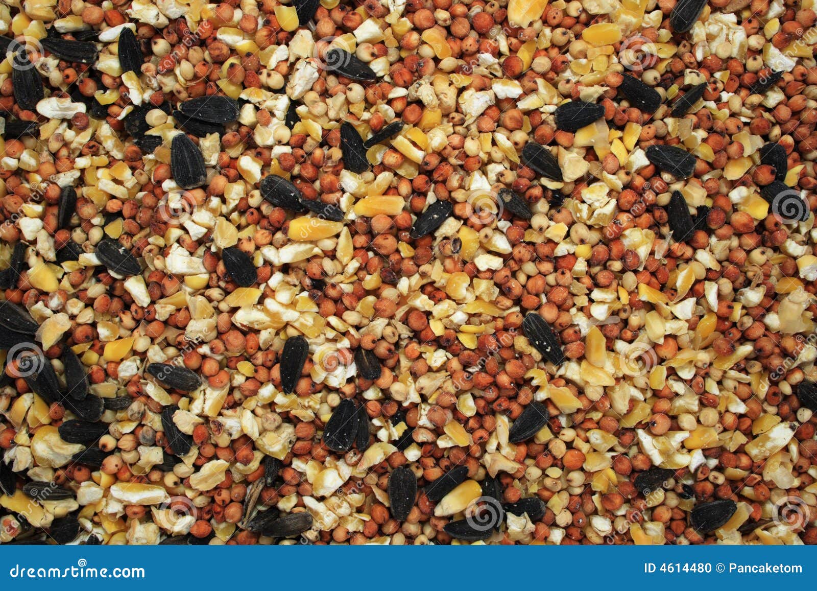 Bird Seed Background Stock Photo - Image: 4614480
