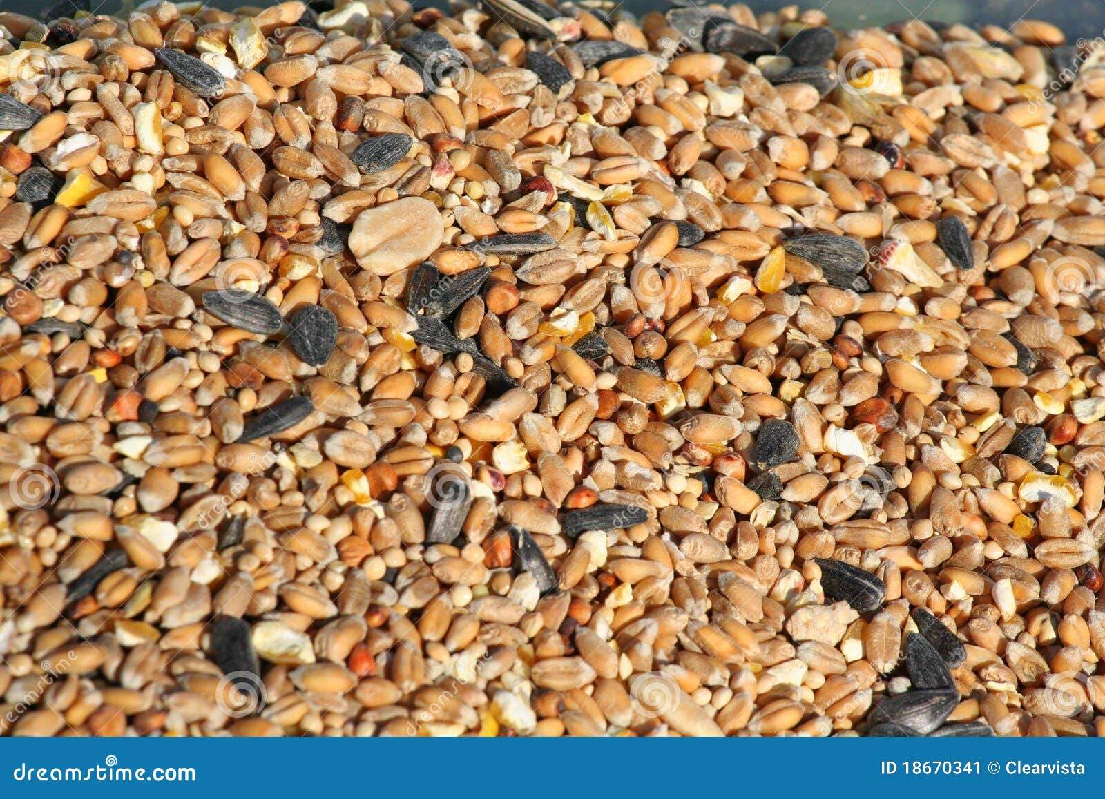 Bird Seed Texture Background. Stock Image - Image of survive, feeders ...
