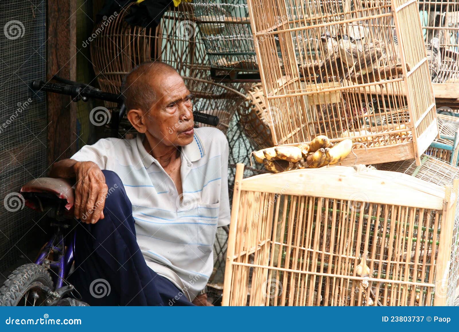 Bird seller editorial photography. Image of merchandise - 23803737