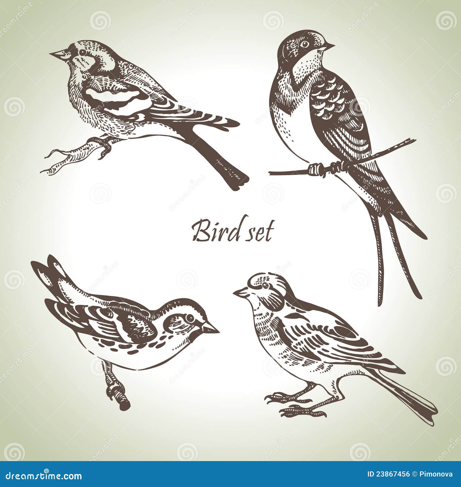 Bird set stock vector. Illustration of modern, design - 23867456