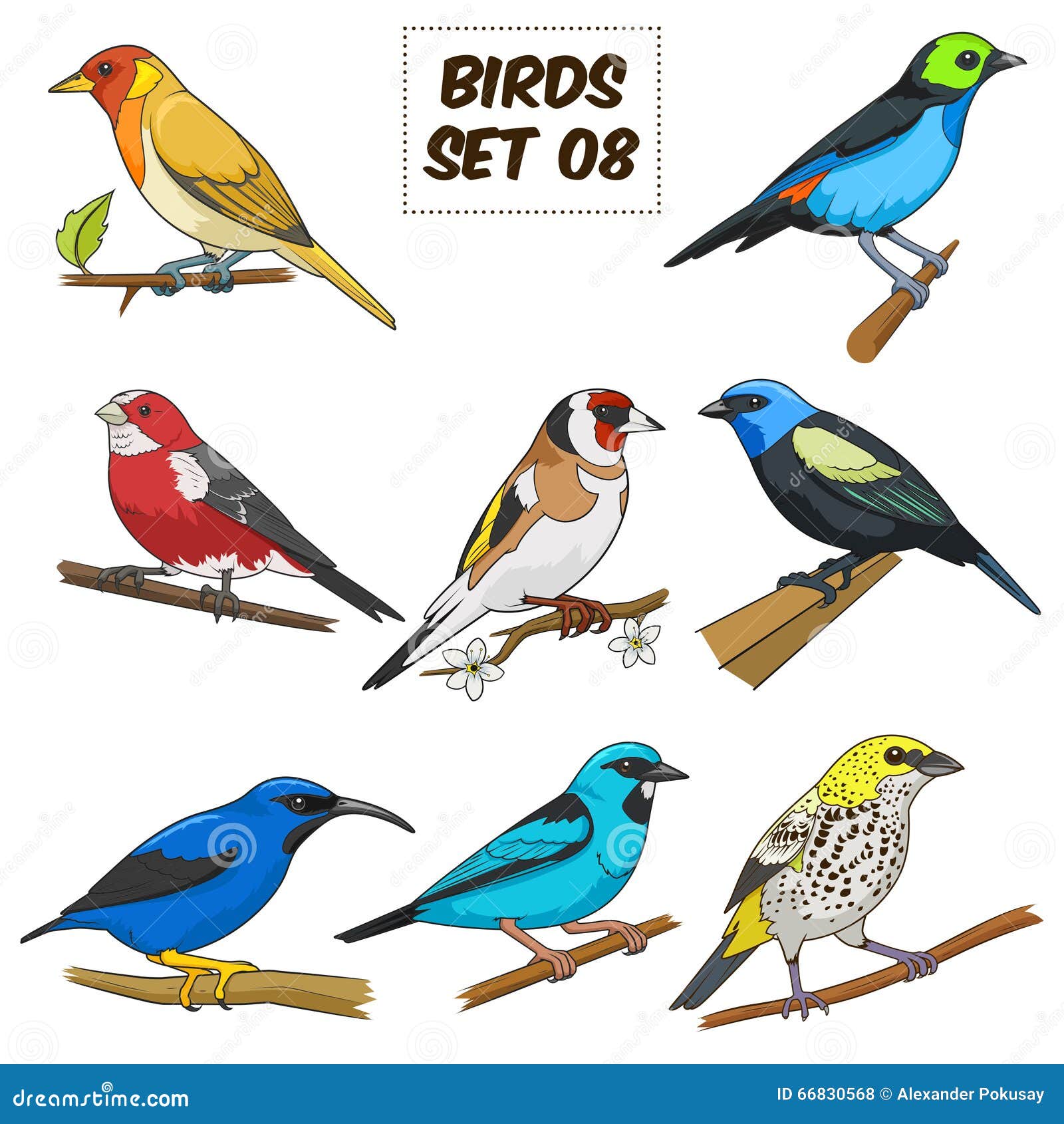 Bird Set Cartoon Colorful Vector Illustration Stock Vector ...
