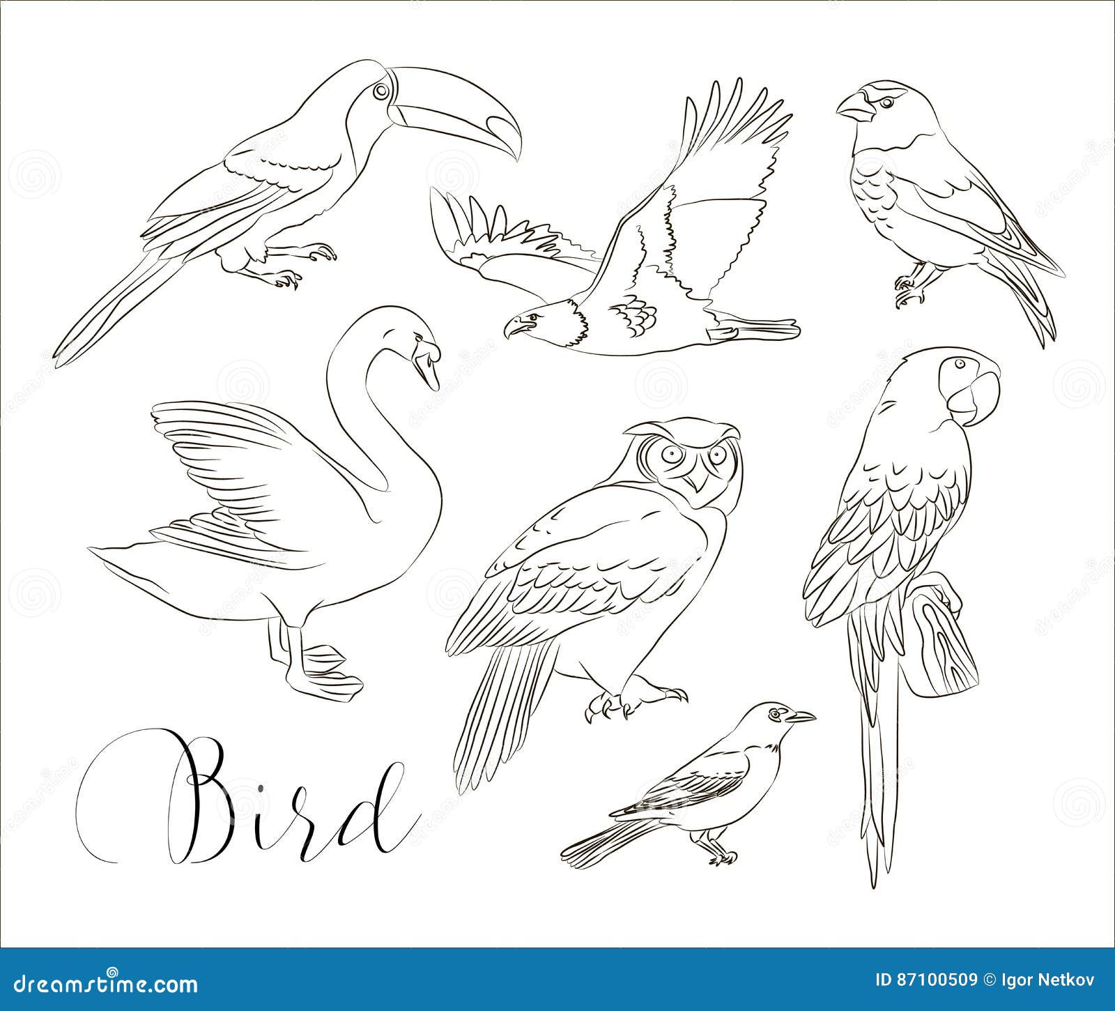 Bird collection set stock vector. Illustration of artwork - 87100509