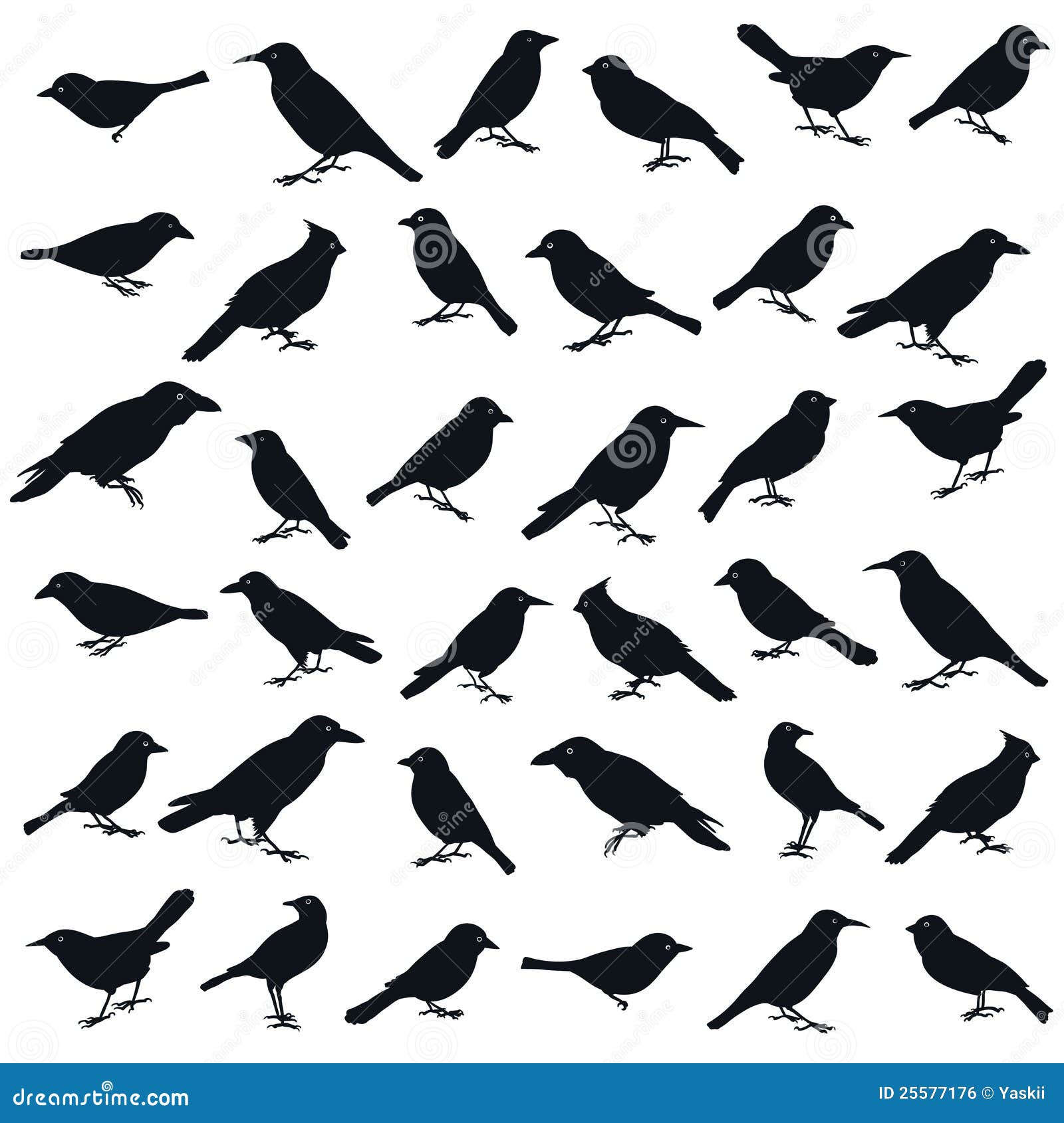 Bird shape. stock vector. Illustration of cute, decoration - 25577176