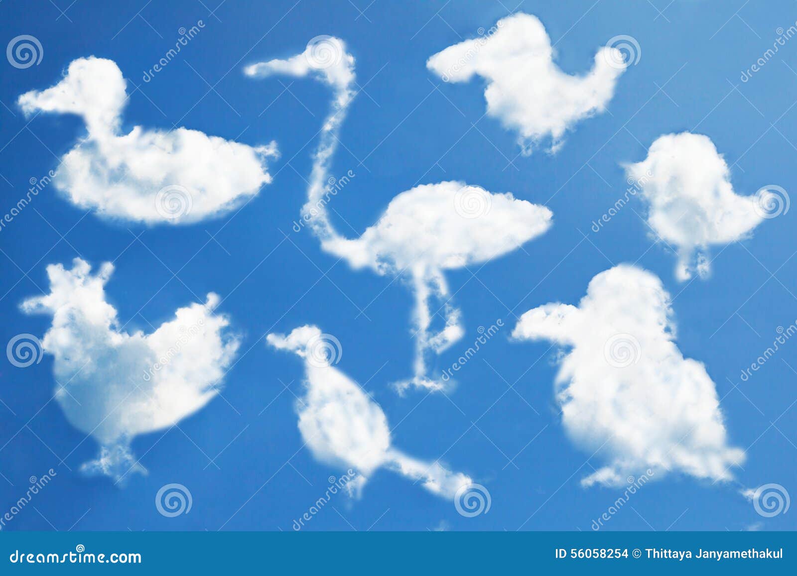 195 Bird Shaped Cloud Stock Photos - Free & Royalty-Free Stock Photos ...