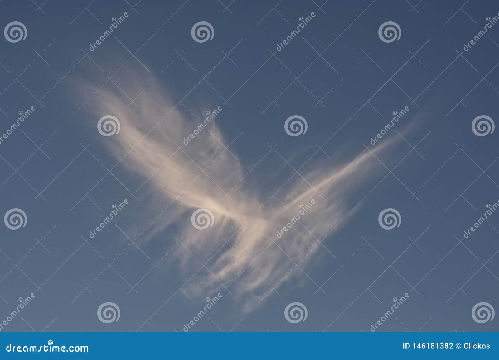Bird shaped cloud stock photo. Image of flying, weather - 146181382