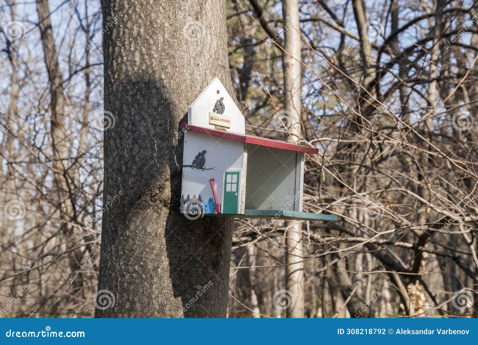 Bird shelter house on tree stock photo. Image of handmade - 308218792