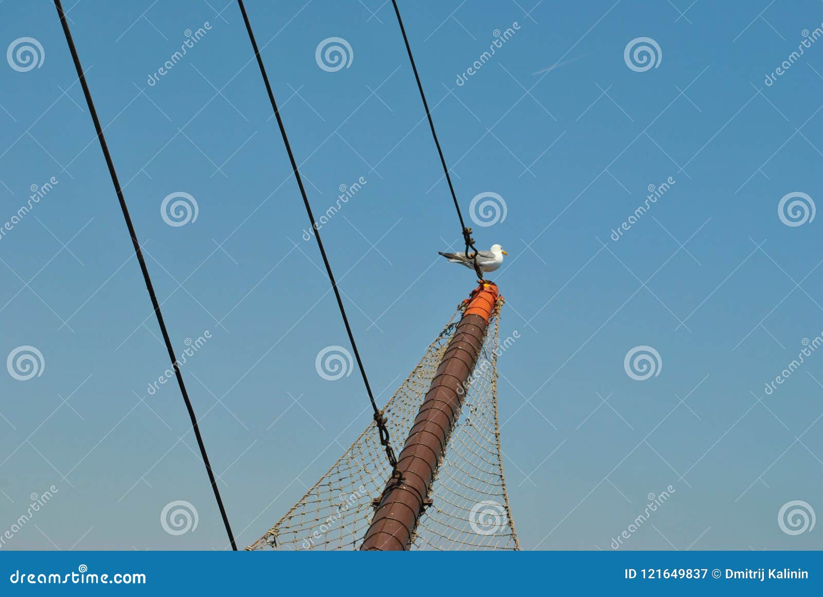 The bird on the ship stock image. Image of nautical - 121649837