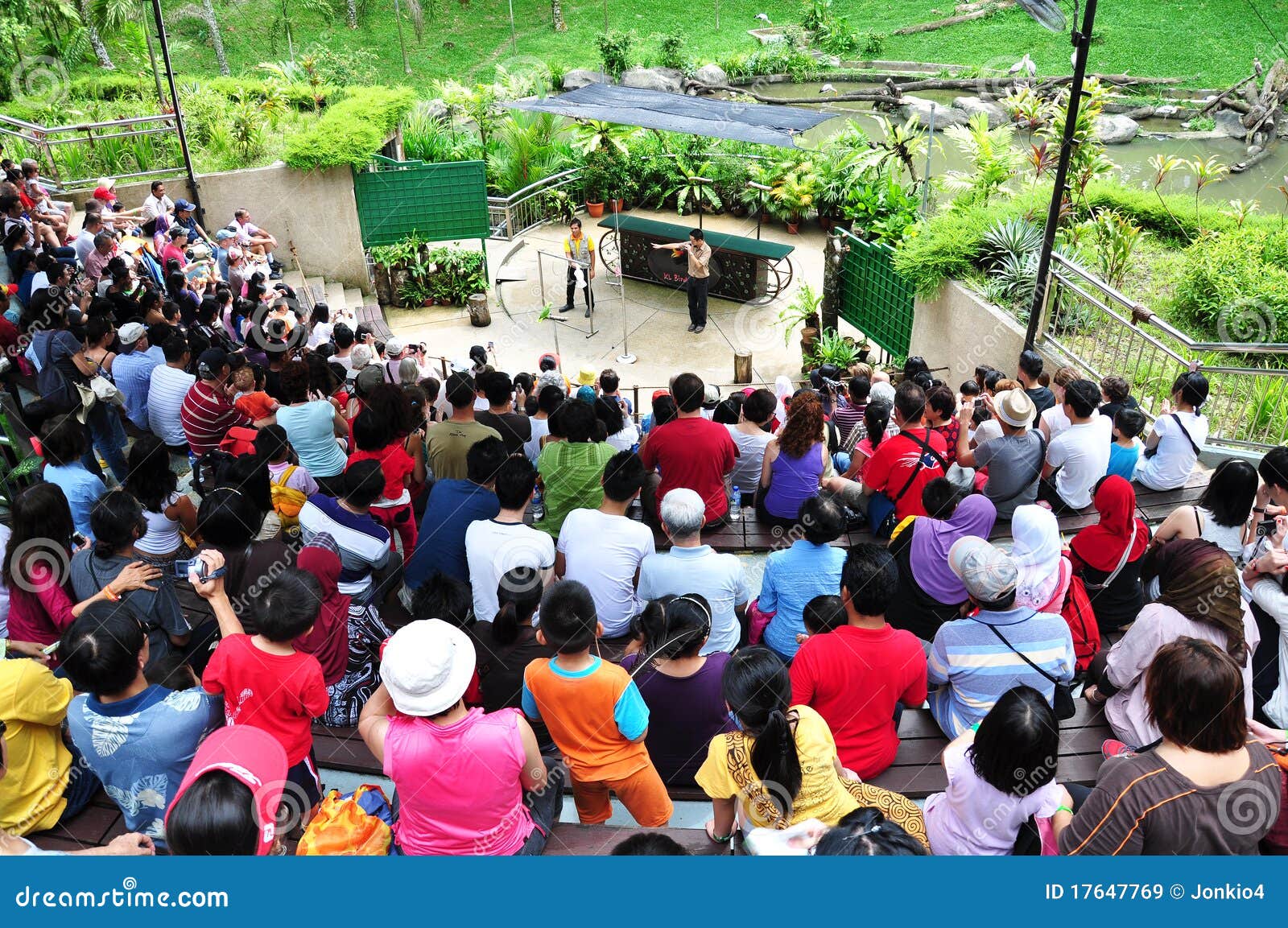 Bird show editorial stock image. Image of tourist, people - 17647769