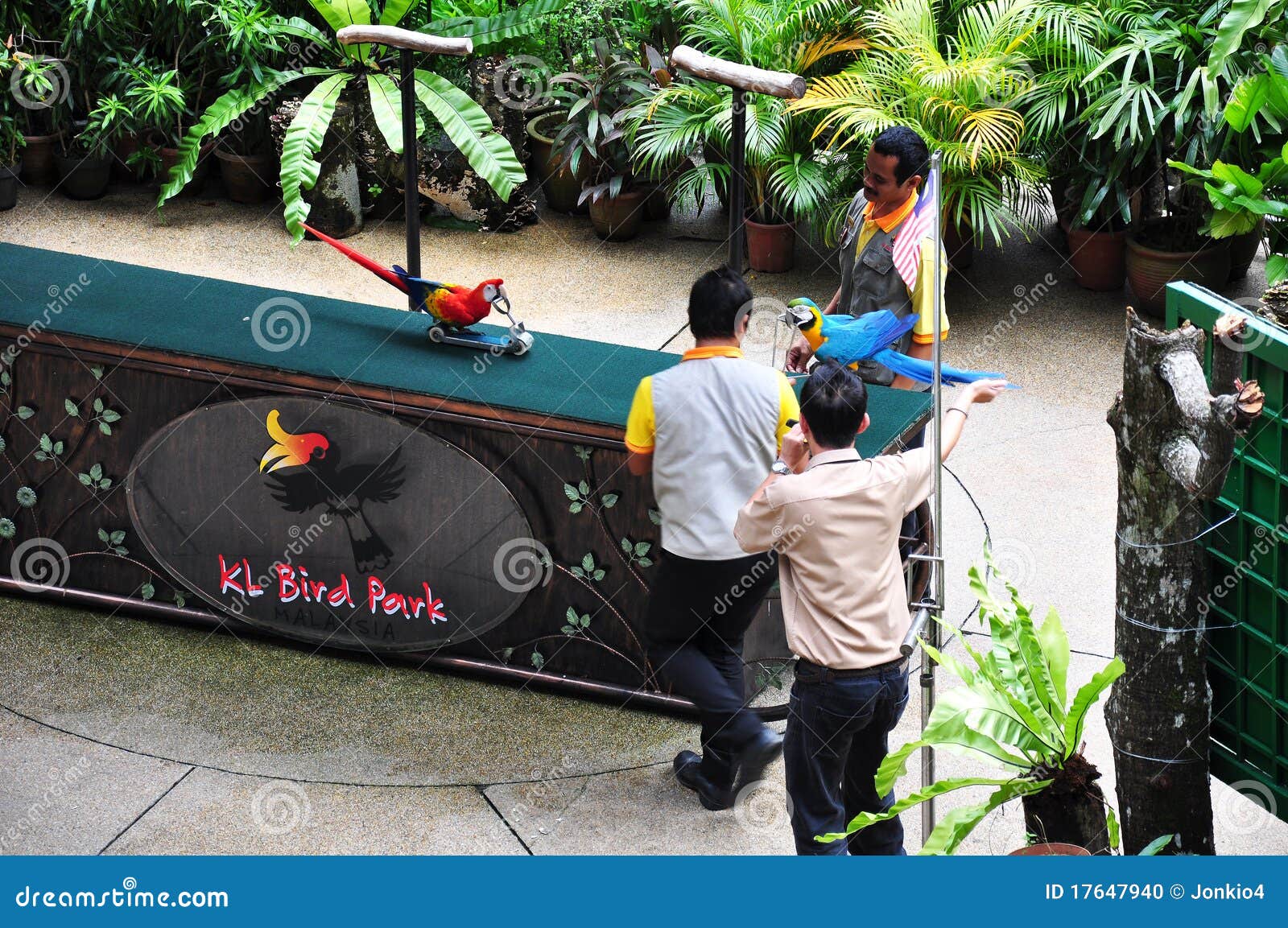 Bird show editorial image. Image of lumpur, birds, editorial - 17647940