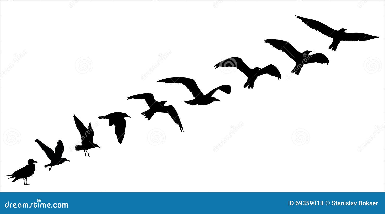 Bird Silhouette Fly Off Concept Stock Vector - Illustration of fauna ...