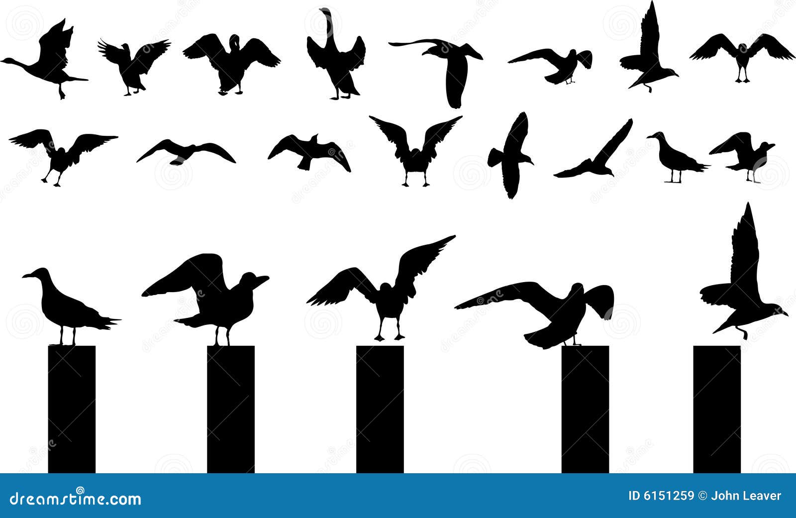 Bird silhouettes stock vector. Illustration of seagull - 6151259